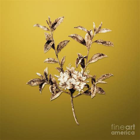 Gold Azalea On Mango Yellow N03513 Painting By Holy Rock Design Fine