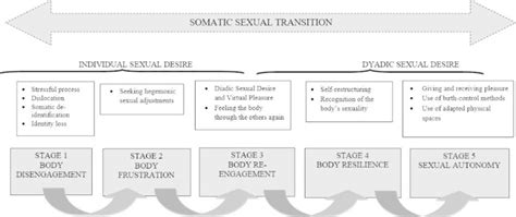 Representation Of The Somatic Sexual Transition Download Scientific Diagram