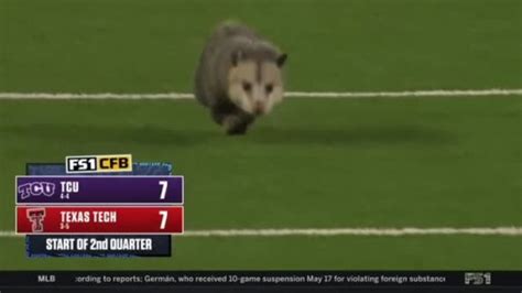 The Transition Im Crying Tumbex