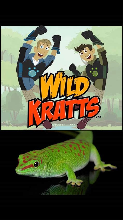 The Wild Kratts Learn About The Day Gecko By Bvega41 On Deviantart