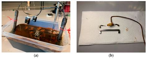 Sensors Free Full Text Cost Effective Corrosion Detection Sensor