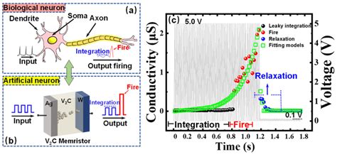 Experimental Implementation And Fitting Model Of A Leaky Download