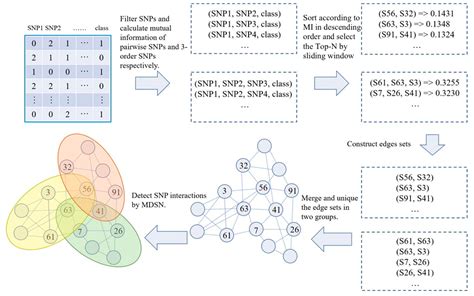 Genes Free Full Text Mdsn A Module Detection Method For