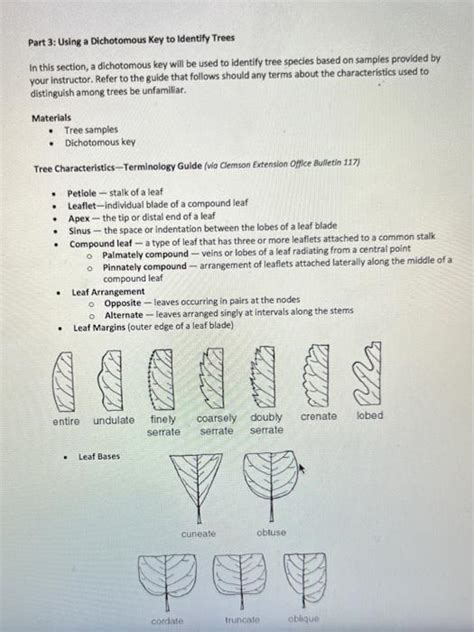 Solved Part Using A Dichotomous Key To Identify Trees In Chegg Com