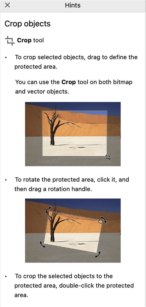 CorelDRAW Review Tutorials Pros Cons Updated