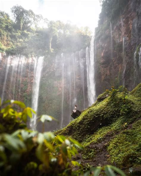 Tumpak Sewu Waterfall A Natural Wonder In East Java