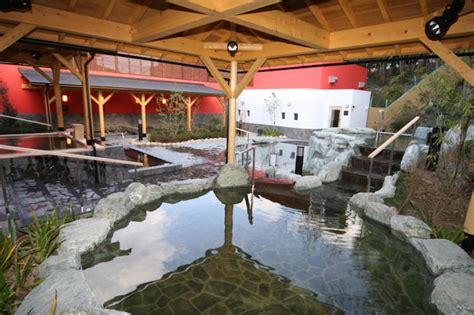 大阪の「スーパー銭湯」特集！オススメ＆話題の店鋪を温泉好きが厳選｜enjoyjapan