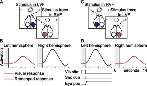figure 1 from spatial updating in human parietal cortex of the eye