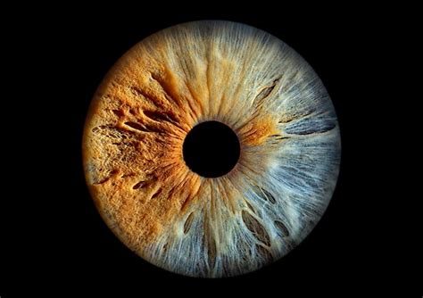 Captivating Iris Photography Captures The Unique Galaxies Within Each