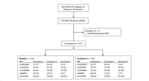 Figure Flow Diagram Of Sample Acquisition And Genotype Group Numbers Download Scientific