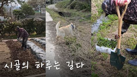산책으로 시작해서 텃밭으로 끝나는 시골의 하루 시골일상vlog Youtube
