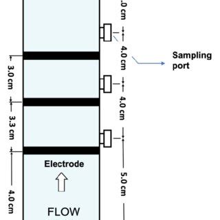 Design Of The Reactor Download Scientific Diagram