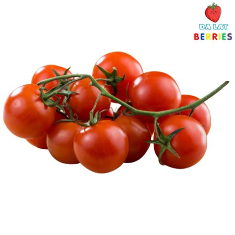 Cà Chua Cherry Đỏ Dalat Berries Vị Ngọt Từ đất Lành