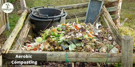 Unlock The Full Potential Of Composting With Nitrogen Simplify Gardening