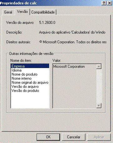 Como em NET um EXE também é conhecido como um Assembly se você olhar a estrutura do seu Como em NET um EXE também é conhecido como um Assembly se você olhar a estrutura do seu