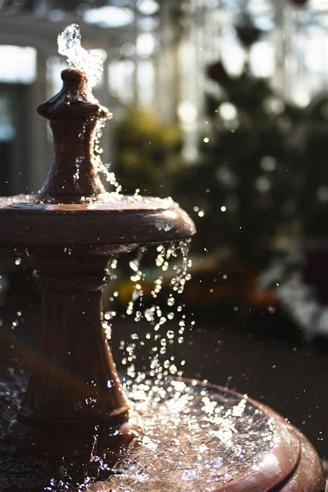 55 Exceptional Examples Of Bokeh Photography Designmag