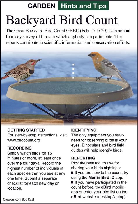 Great Backyard Bird Count The Epoch Times