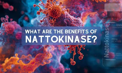 Nattokinase Benefits Circulation Clots And Heart Health Ageimmune