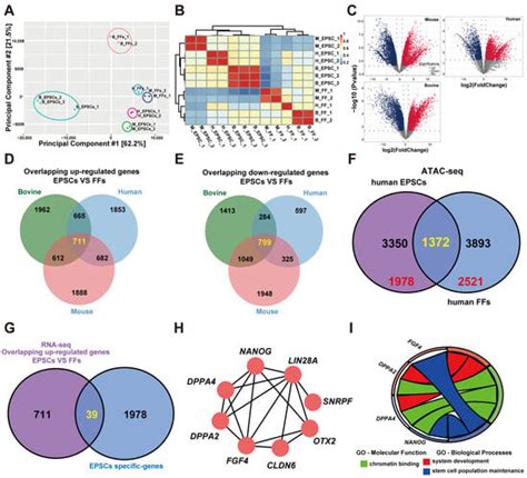 Diagramma Di Venn Del Dna E Rna Multi Scale Classification Decodes The