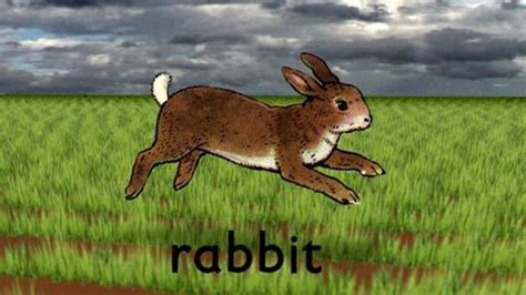 Bbc Film Network Animation Rabbit