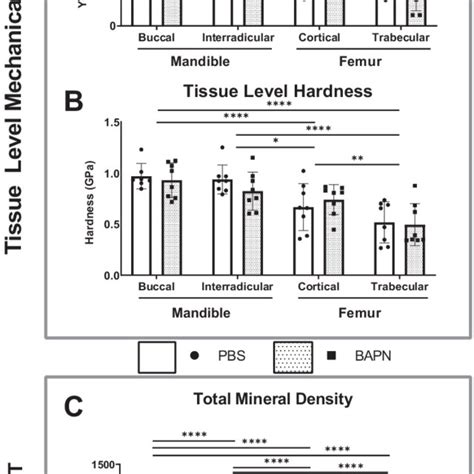 D Followed By The Buccal Cortex And Interradicular Bone Both P Download Scientific Diagram