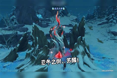 原神 天铭 56 忍冬之树，苏醒！ 原神