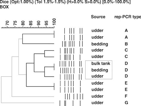 Repetitive DNA Sequence PCR Rep PCR Clustering BOX Primers Of Download Scientific