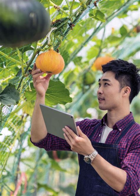 Agworks Builds Complex Crop Insurance App In Record Time With Telerik