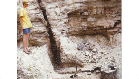 Polystrate Fossils Evidence For A Young Earth Polystrate Fossils Evidence For A Young Earth