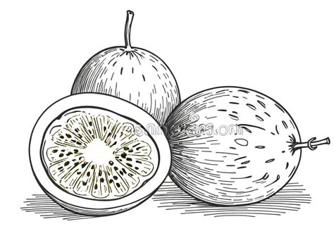 16 Desenhos De Frutas Para Colorir