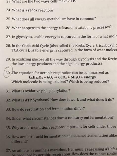 Solved What Are The Two Ways Cells Make ATP What Is A Chegg Com