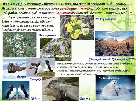 Презентація до уроку природознавства 4 клас Тема Євразія Презентація Природознавство