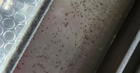 생각 못했던 부분까지 꼼꼼하게 잘 청소해주셨어요 곰팡이가 심했던 부분도 많은데 다 깔끔하게 청소해주셨습니다~ 숨고 숨은고수