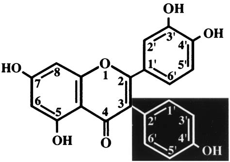 Dietary Bioflavonoids Induce Cleavage In The Mll Gene And May Contribute To Infant Leukemia Pnas