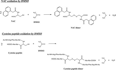 Cysteine Oxidation