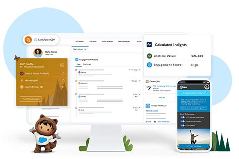 Salesforce CDP Salesforce