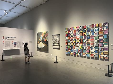 汇聚67件精品力作成渝地区美术馆精品交流展亮相四川美术馆 川观新闻