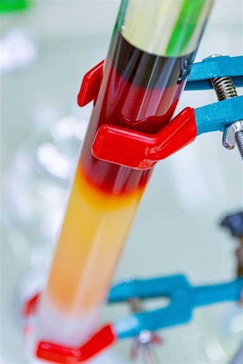 Adventitious Agent Testing For Viral Vectors