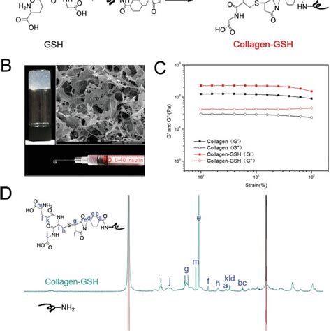 Schematic Representations Of Mmp‐responsive Hydrogel Preparation And Download Scientific