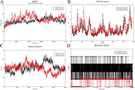 Molecular Dynamics Simulation Of Hsa Dapg Complex For 50 Ns Time Scale Download Scientific