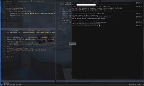 Fyi I Spent 2 Hours Configuring Built In Lsp Just To Print Hello World