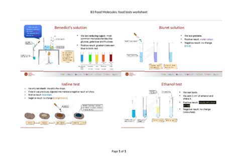 Igcse Coordinated Science B3 Food Tests Teaching Resources