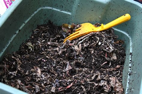 Start Your Own Worm Bin Wiggle Room Vermicomposting And Worm