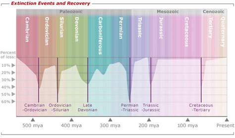 Extinction Event Assignment Point