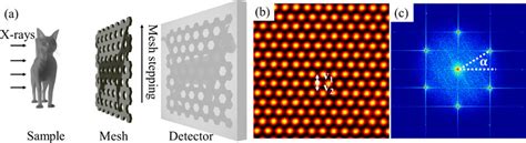 Illustrations Of Mesh Based X Ray Phase Contrast Imaging A The Setup Download Scientific
