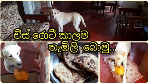 චීස් රොටී කාලම තැඹිලි ගෙඩියක් බොමු Nekii Kella 2021 08 25 Youtube