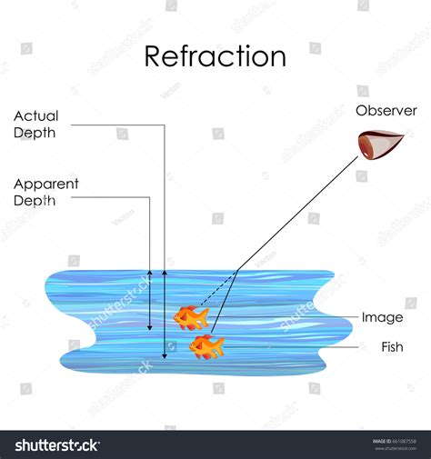 Education Chart Physics Refraction Concept Water Stock Vector Royalty Free