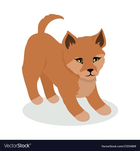 Dingo Cartoon Flat Royalty Free Vector Image Vectorstock