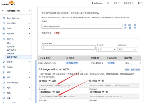 图床 Cdn Cname 接入 Cloudflare Saas 实现分流 大大的小蜗牛