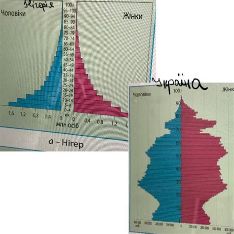 Зіставте статево вікові піраміди населення України та Нігеру Поясніть чим відрізняються форми